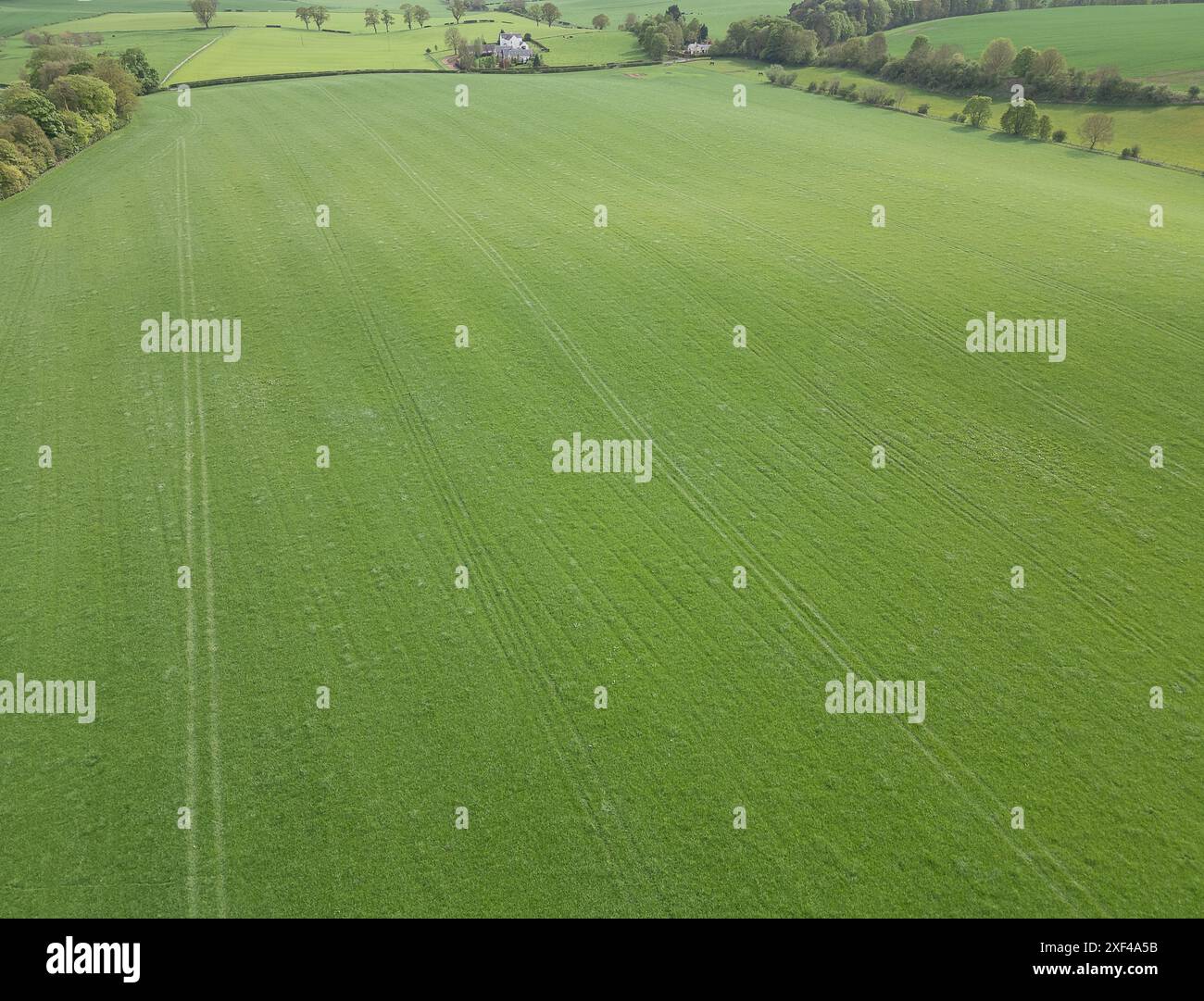 Farm Grassland with Tractor Tracks in the UK Stock Photo - Alamy