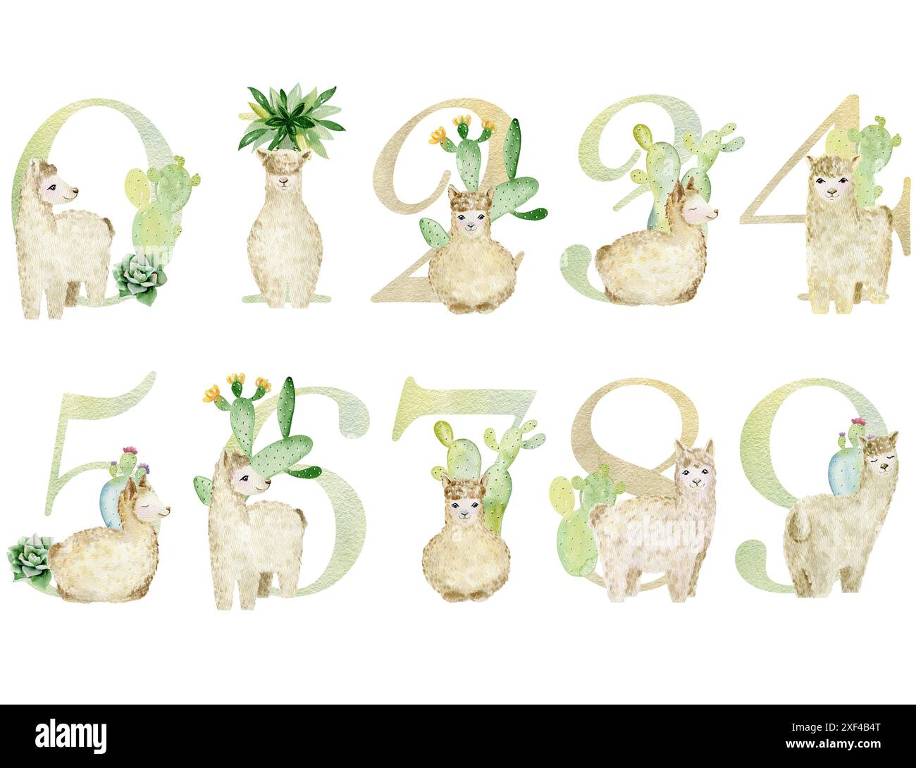 Watercolor numbers with llamas for invitation card, nursery poster and ...