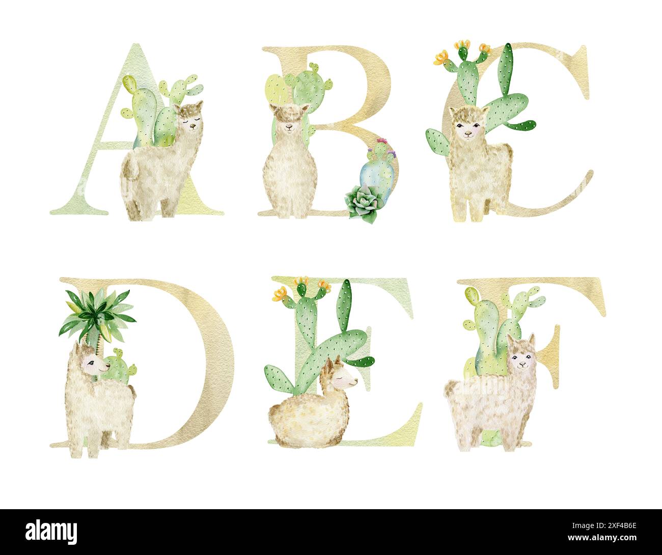 Watercolor letters with llamas for invitation card, nursery poster and ...