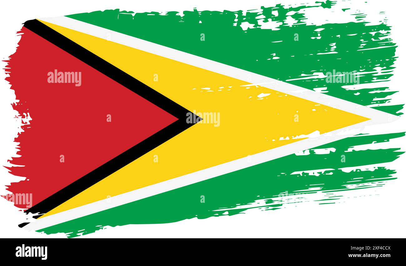 Guyana flag, wide brush stroke on transparent background, vector Stock Vector Image & Art - Alamy