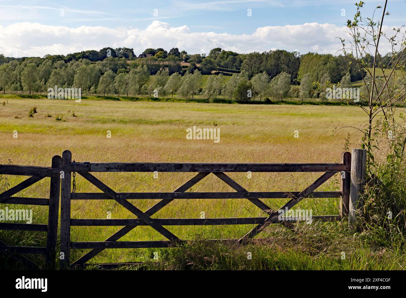 Rother valley train hi-res stock photography and images - Alamy