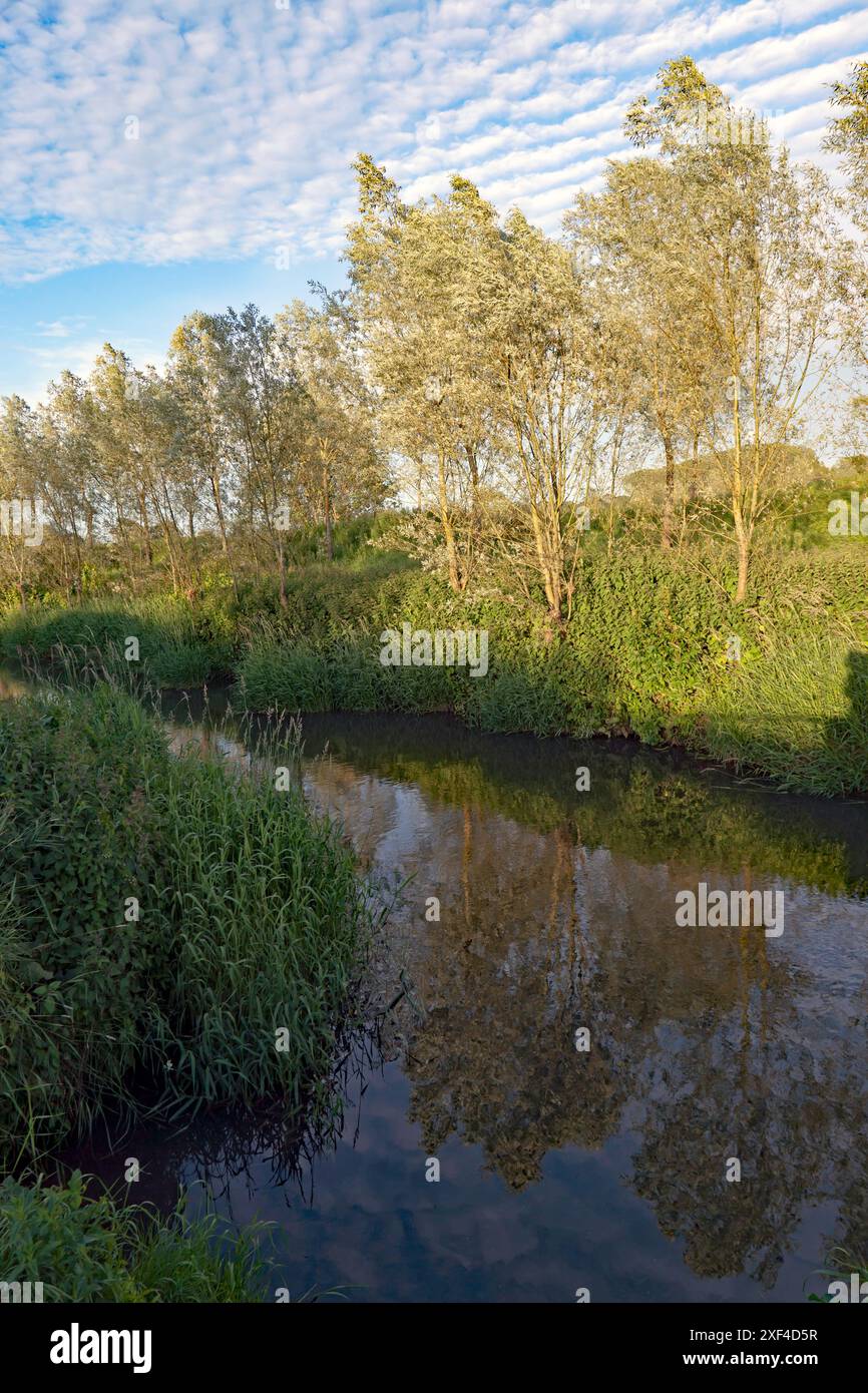 Rother valley summer hi-res stock photography and images - Alamy