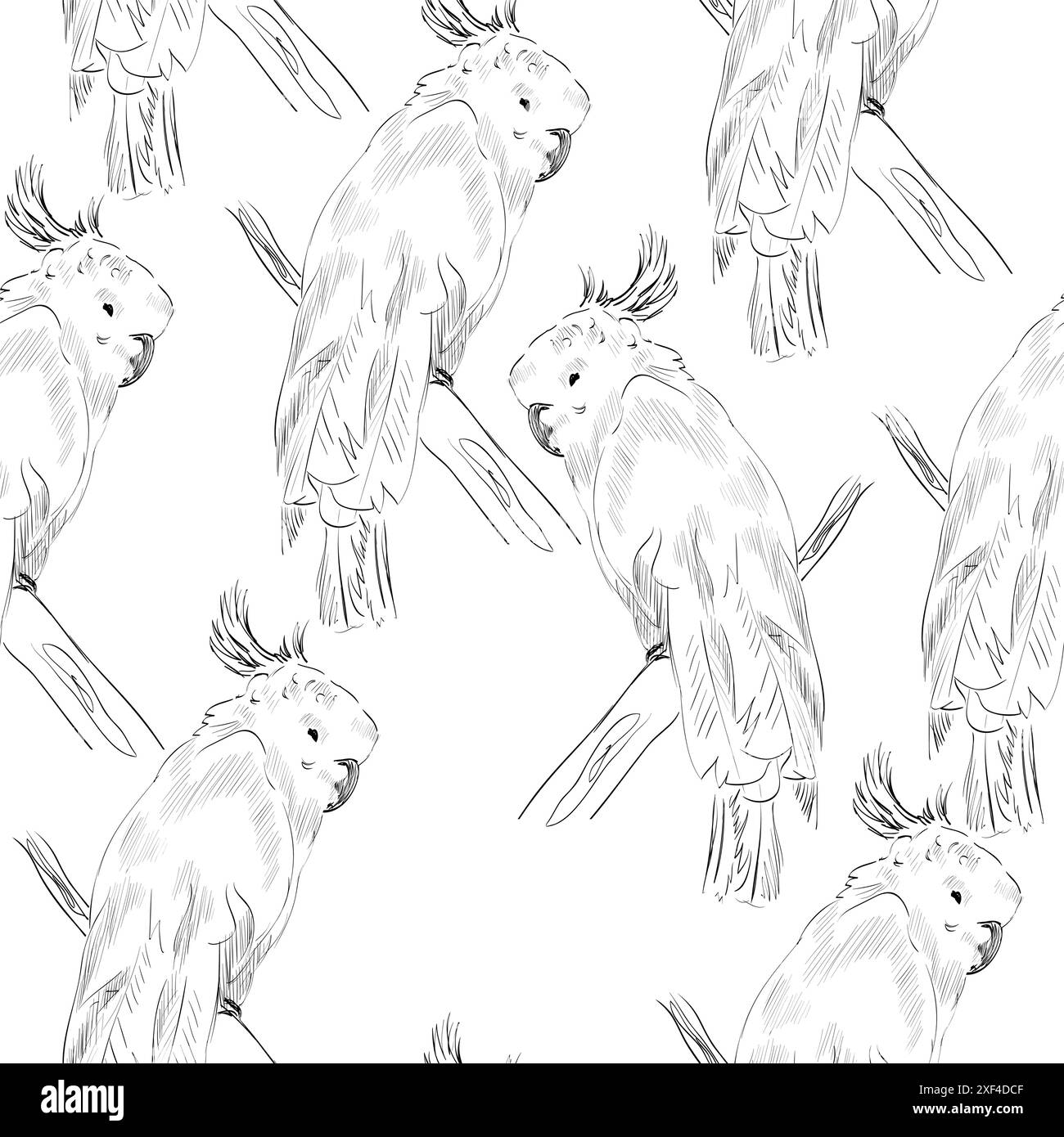 Vector sketch of a parrot. Hand drawn illustration Stock Vector Image ...