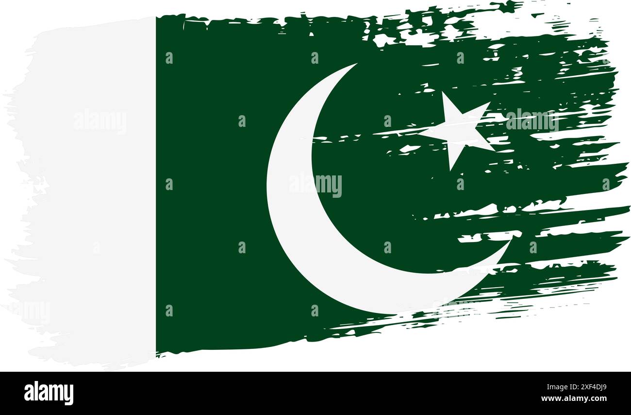 Pakistan flag, wide brush stroke on transparent background, vector ...
