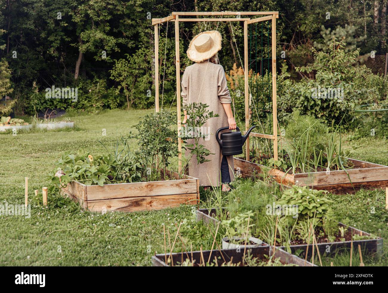 Young modern woman boho hobby gardener in vegetable and herb garden ...