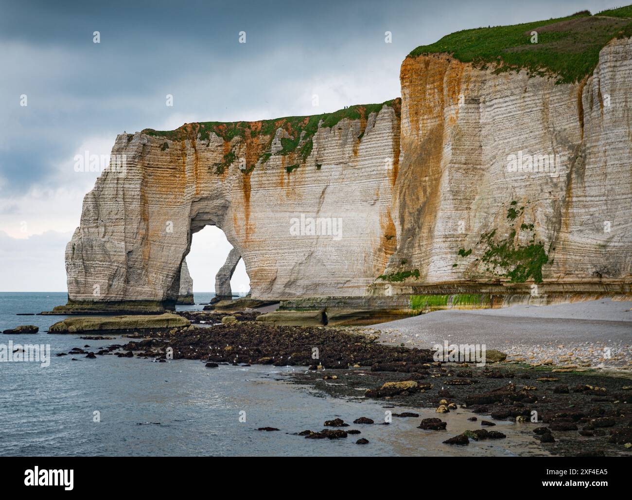 the famous elephant rock in etretat Stock Photo - Alamy