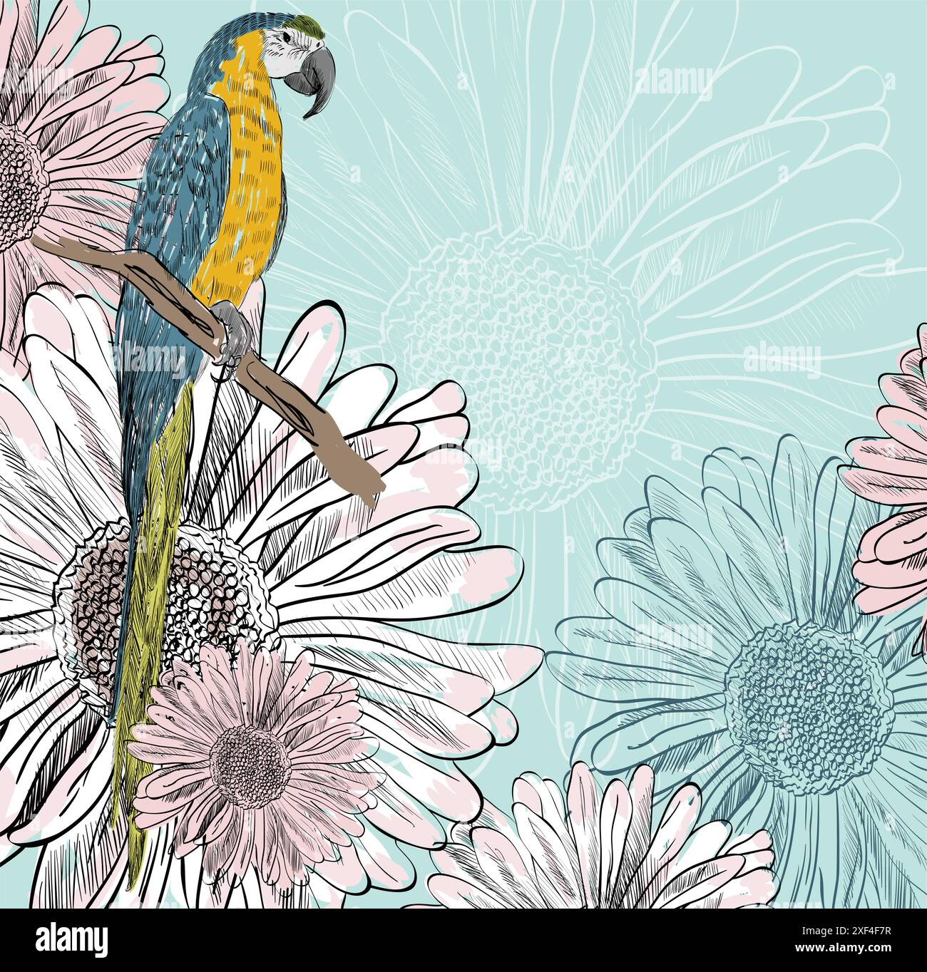 Vector sketch of a parrot with flowers. Hand drawn illustration Stock ...