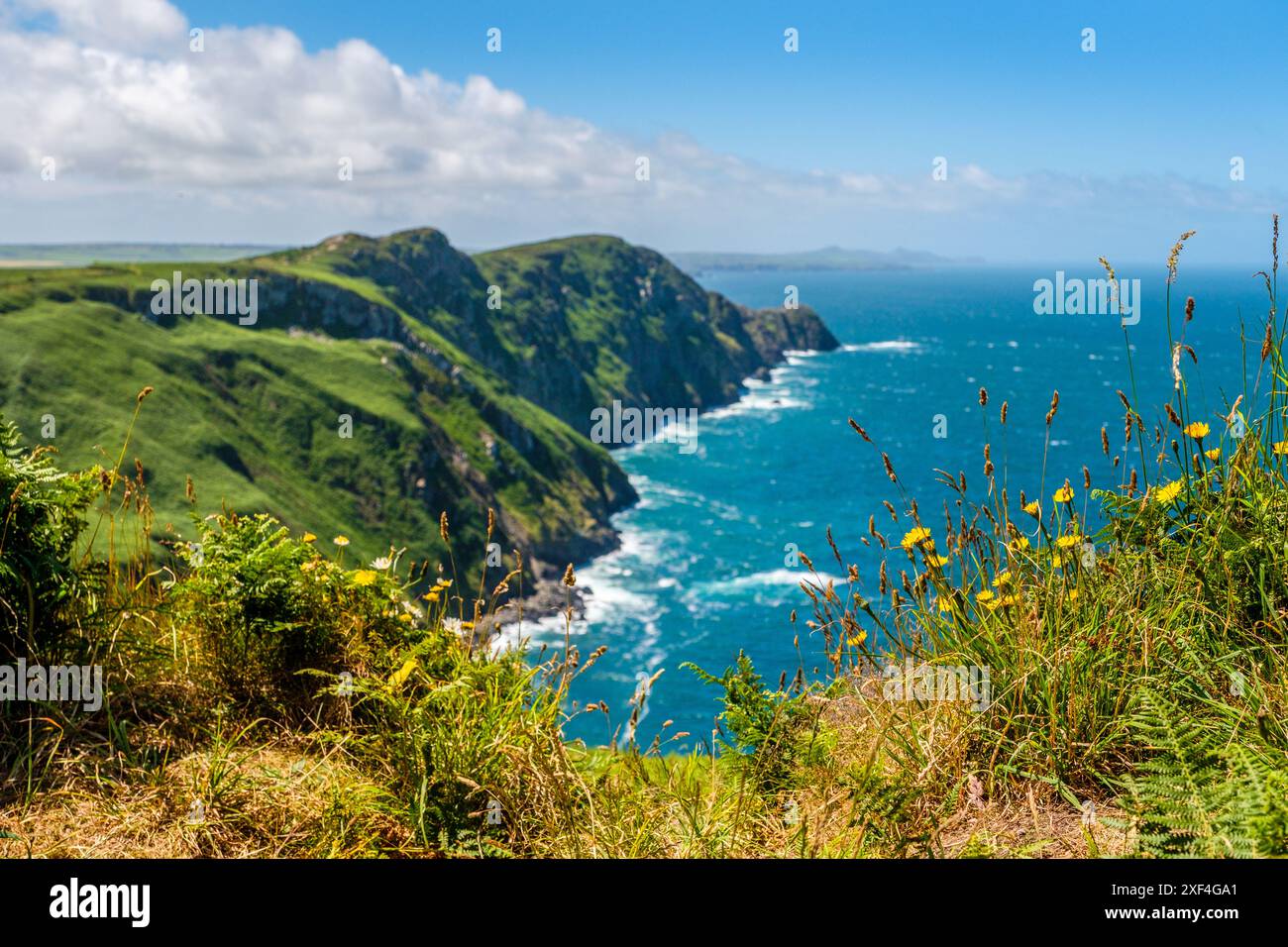 The Pembrokeshire Coast Path in West Wales at Pwll Deri on Strumble ...
