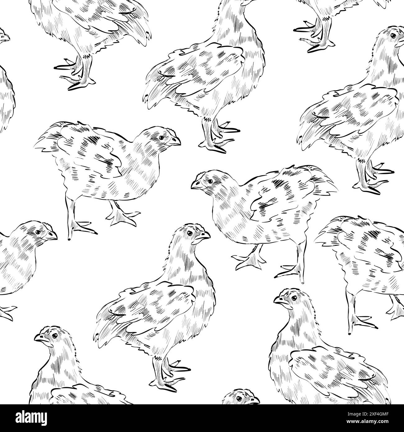 seamless pattern with painted chickens. Vector illustration Stock ...