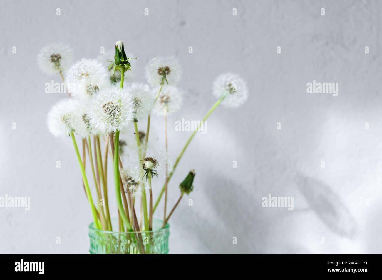 Dandelion Bouquet in Glass Vase Stock Photo - Alamy