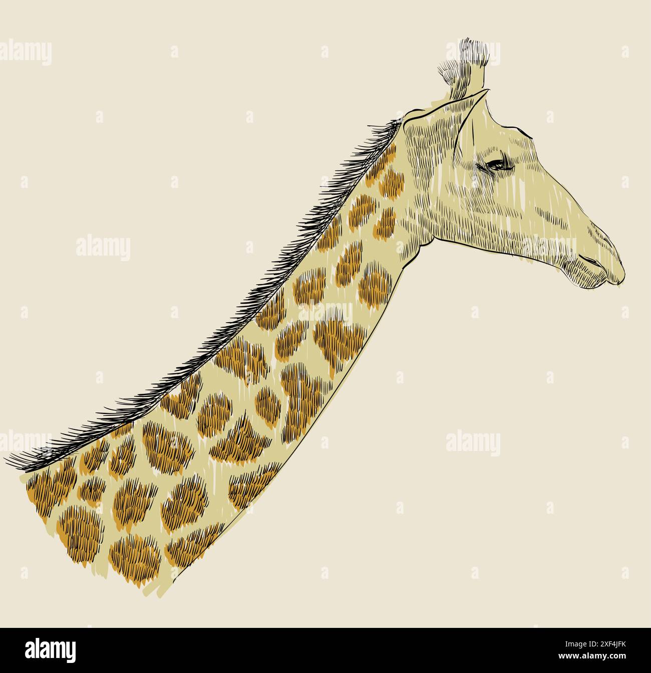 Giraffe t shirt Stock Vector Images - Alamy