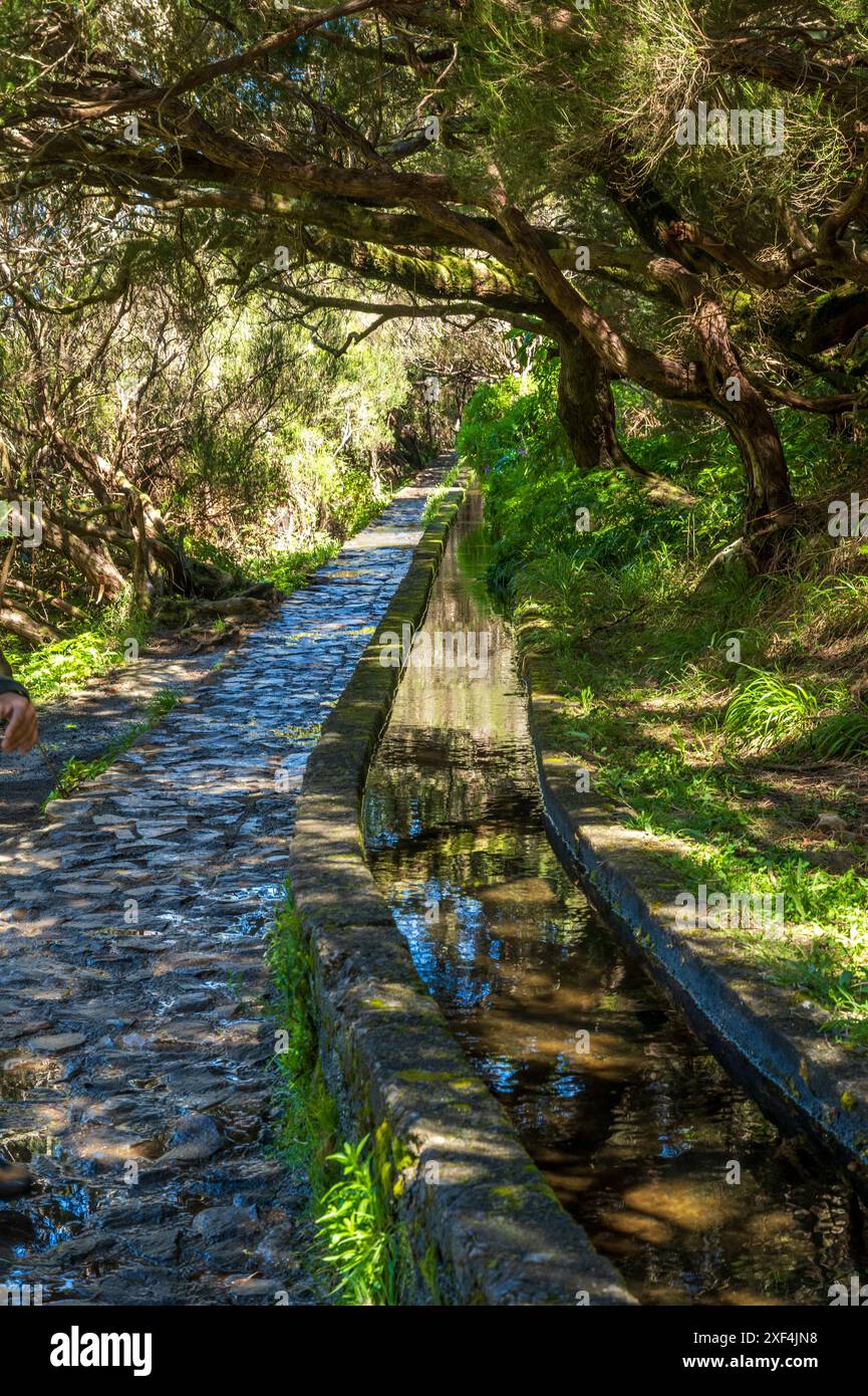 Levada walks around the Valley of Rabaçal, Madeira Descending from the ...