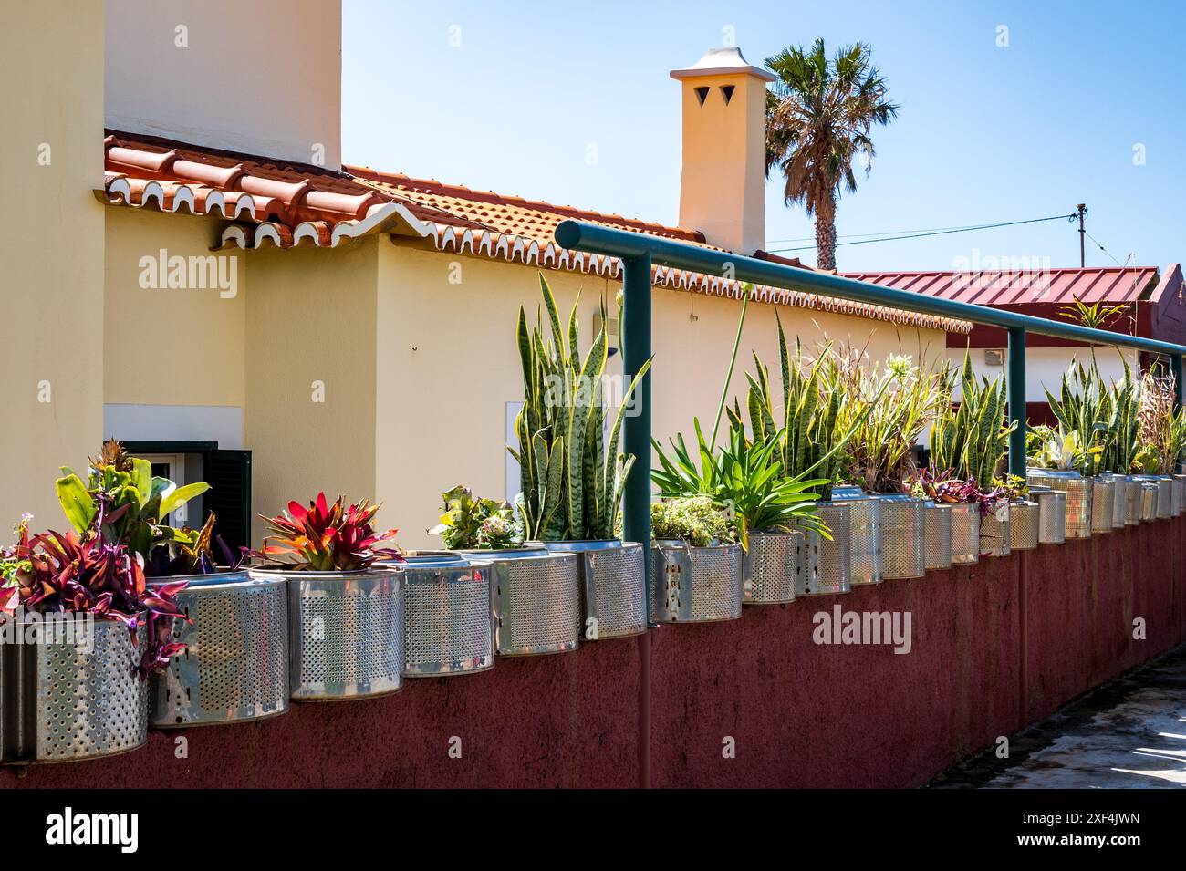 Washine drum planters hi-res stock photography and images - Alamy