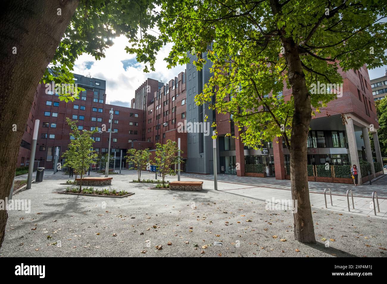 University of liverpool campus hi-res stock photography and images - Alamy