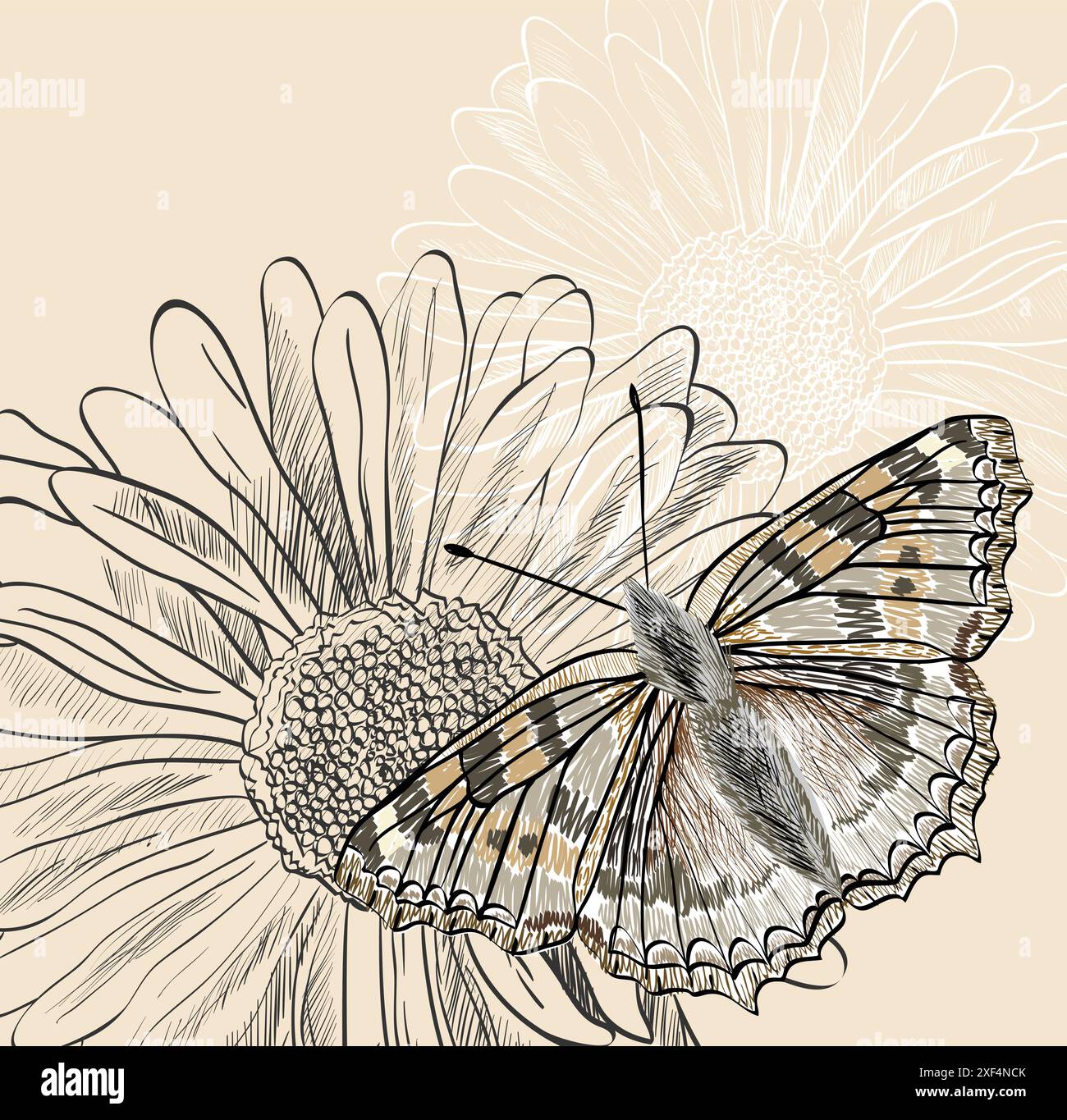 Illustration of beautiful butterflies flying around flower Stock Vector ...