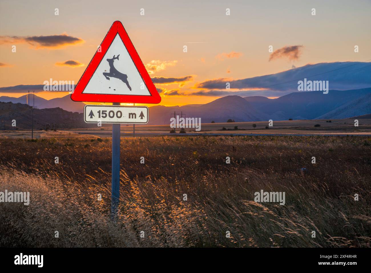 Wild animals traffic sign and sunset landscape. Montaña Palentina ...