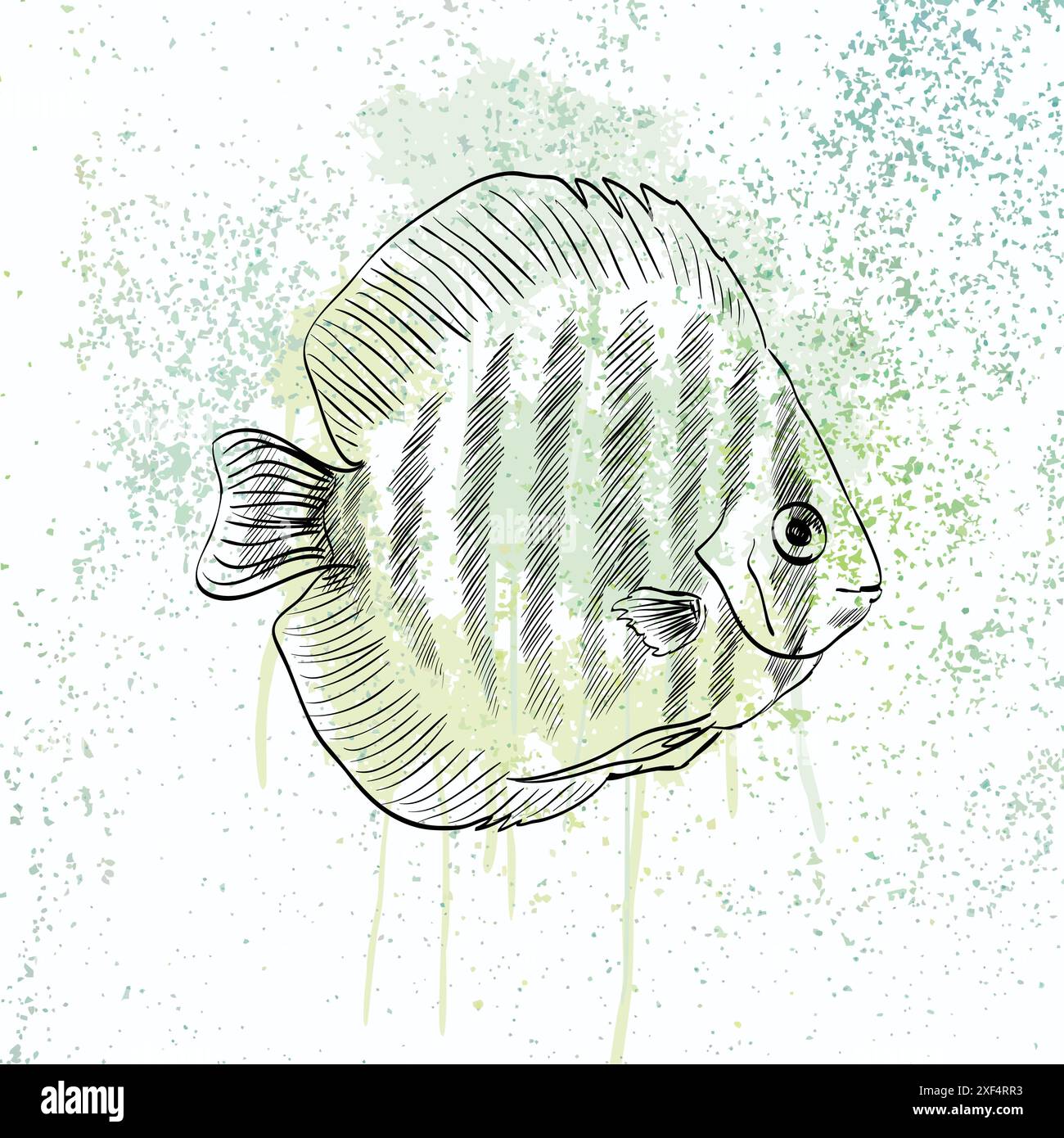 Vector illustration with hand drawn realistic fish Stock Vector Image ...