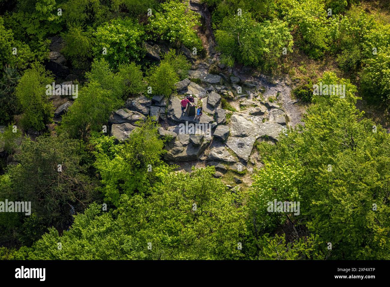 Lippische velmerstot kuppe hi-res stock photography and images - Alamy