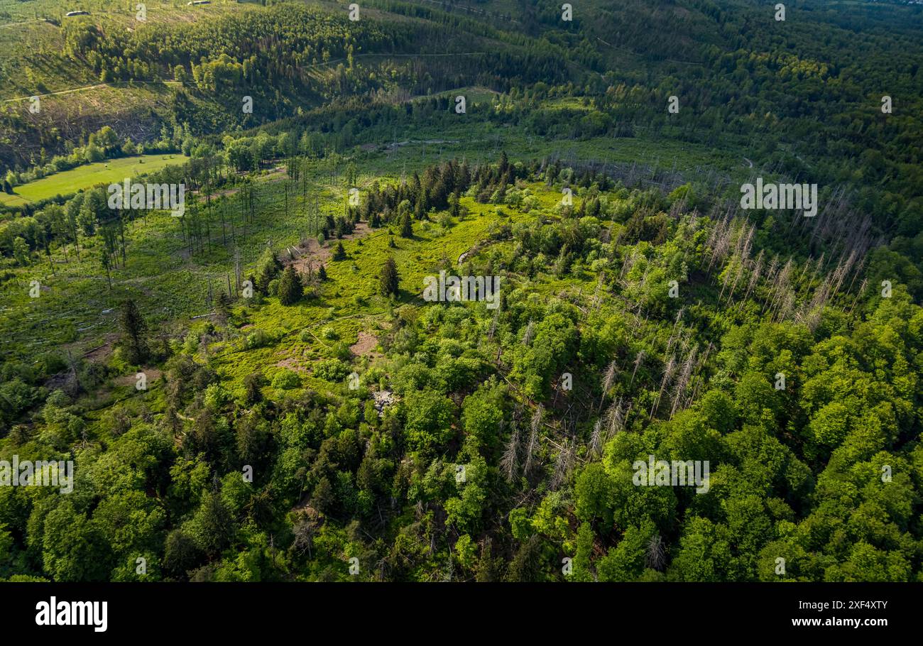 Aerial view, Lippische Velmerstot Kuppe, visitors and hikers on a rock ...