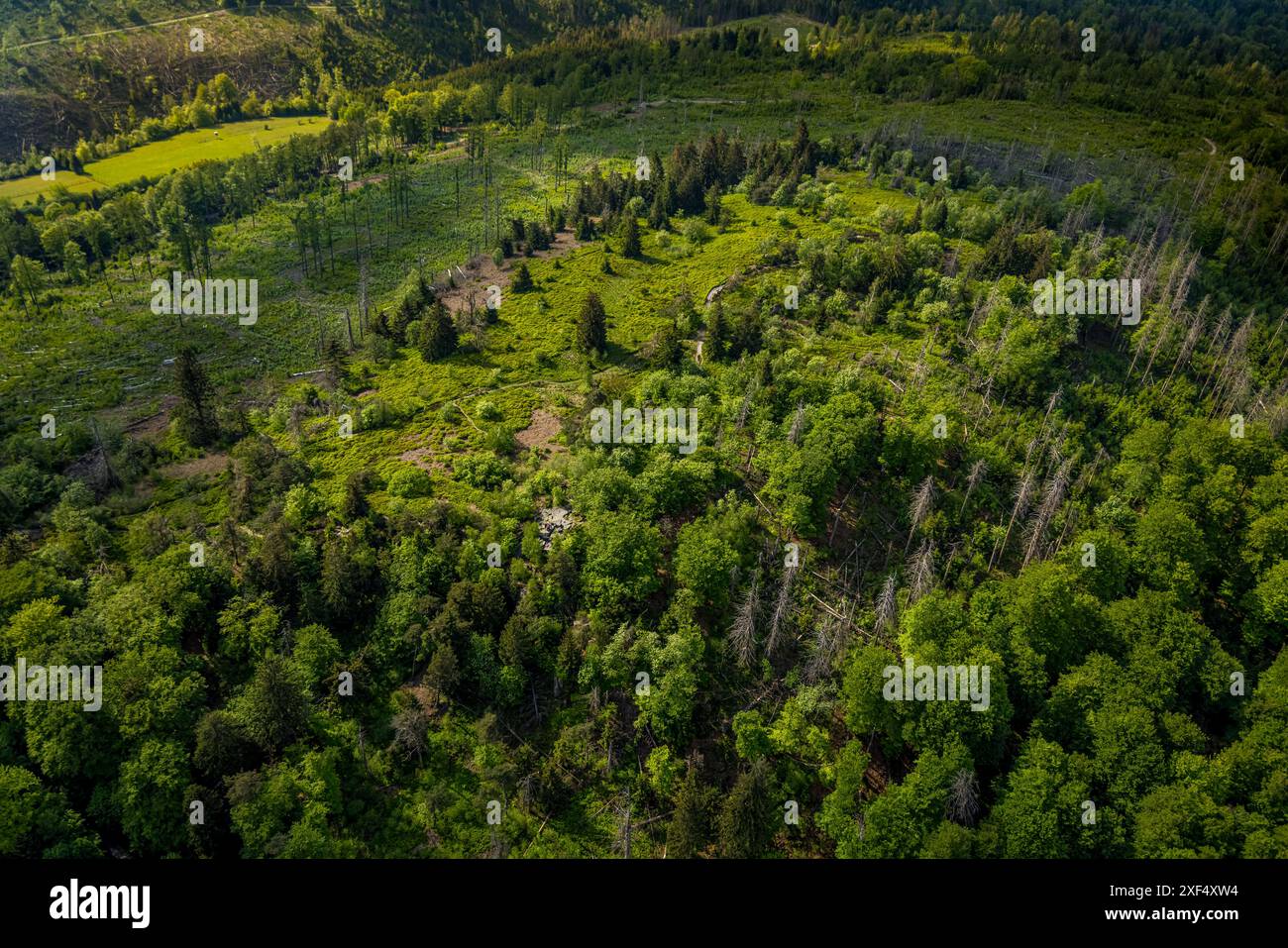 Aerial view, Lippische Velmerstot Kuppe, visitors and hikers on a rock ...