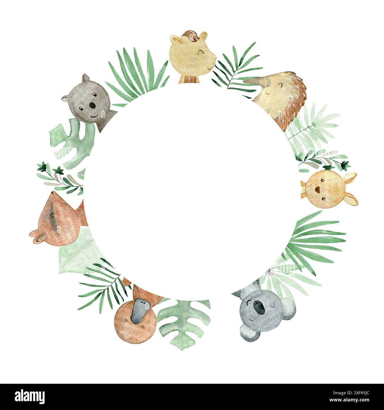 Watercolor australian animals Cut Out Stock Images & Pictures - Alamy