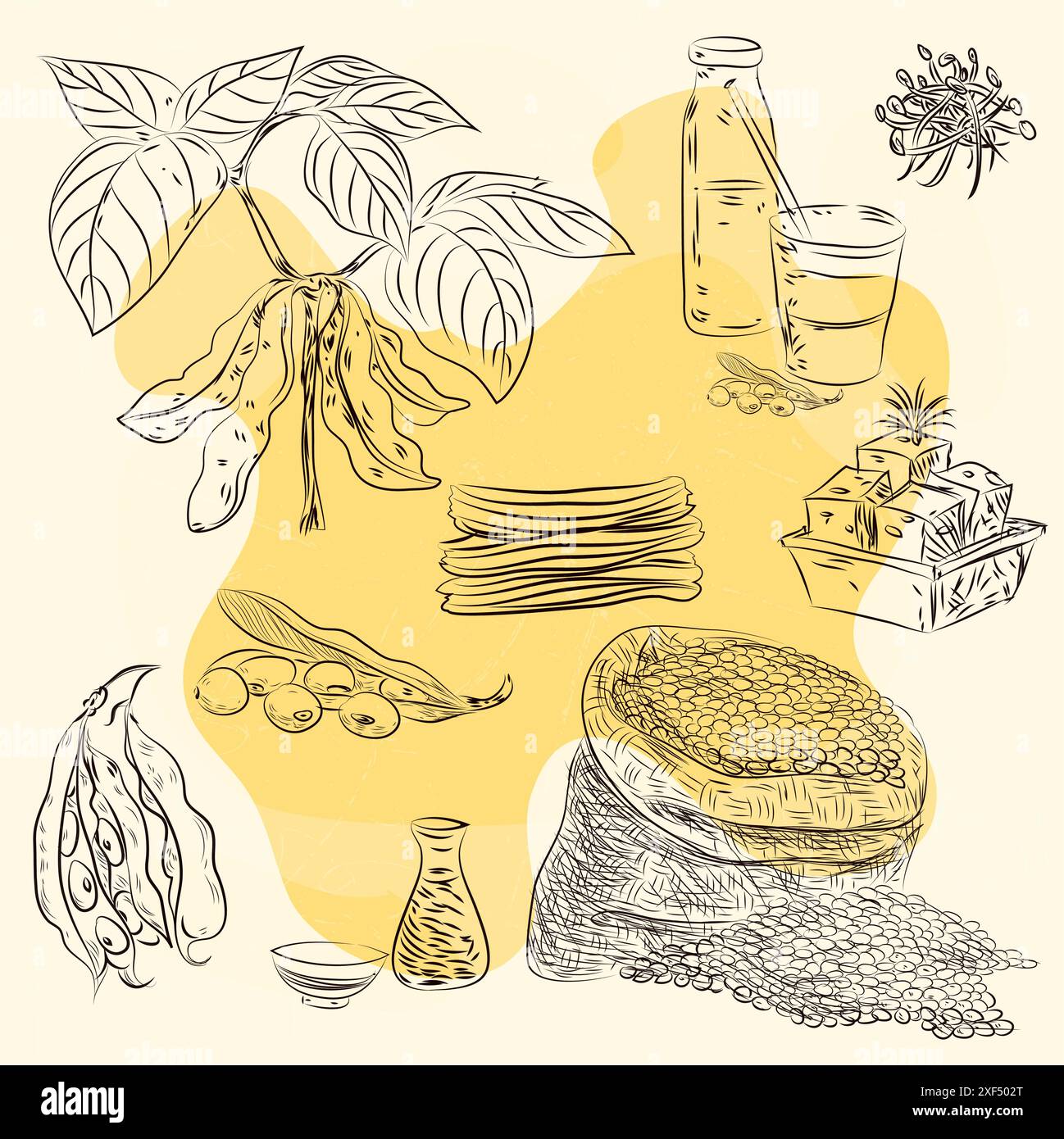 Big soybean plant of big soybean plant vector Stock Vector Image & Art ...