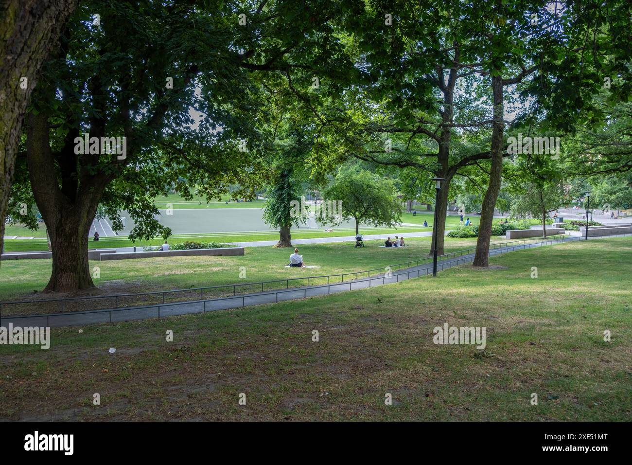 Picnic on green grass, people relaxing, summer afternoon in a public city park. Lush foliage ...