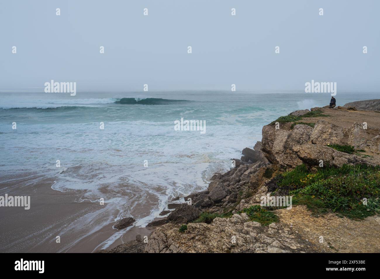 Sea shells in portugal hi-res stock photography and images - Alamy