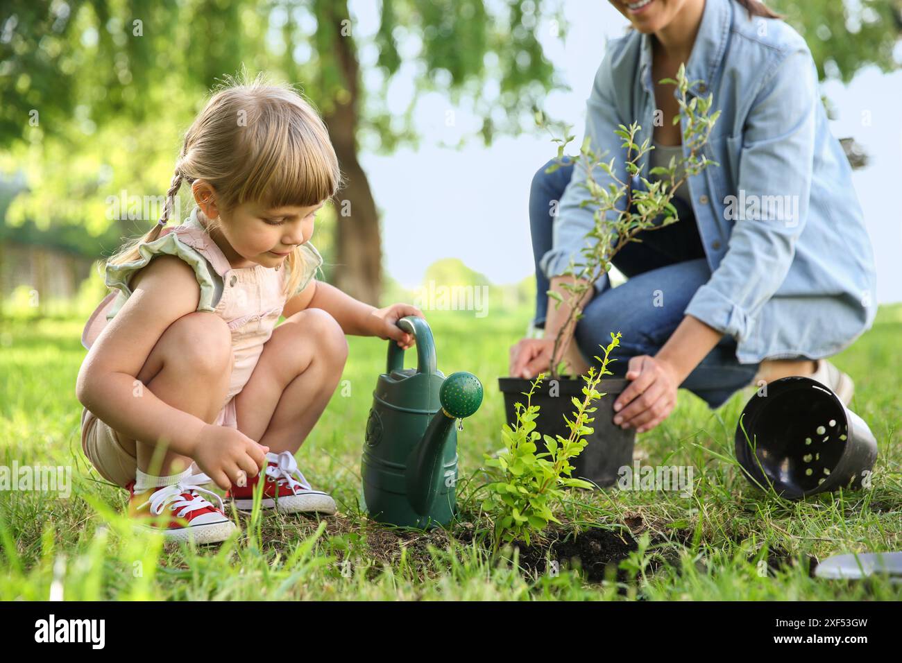 Mother and her daughter planting tree together in garden Stock Photo ...