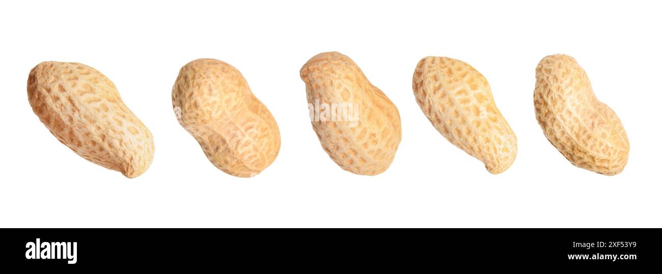 Many peanuts in pods isolated on white, set Stock Photo - Alamy