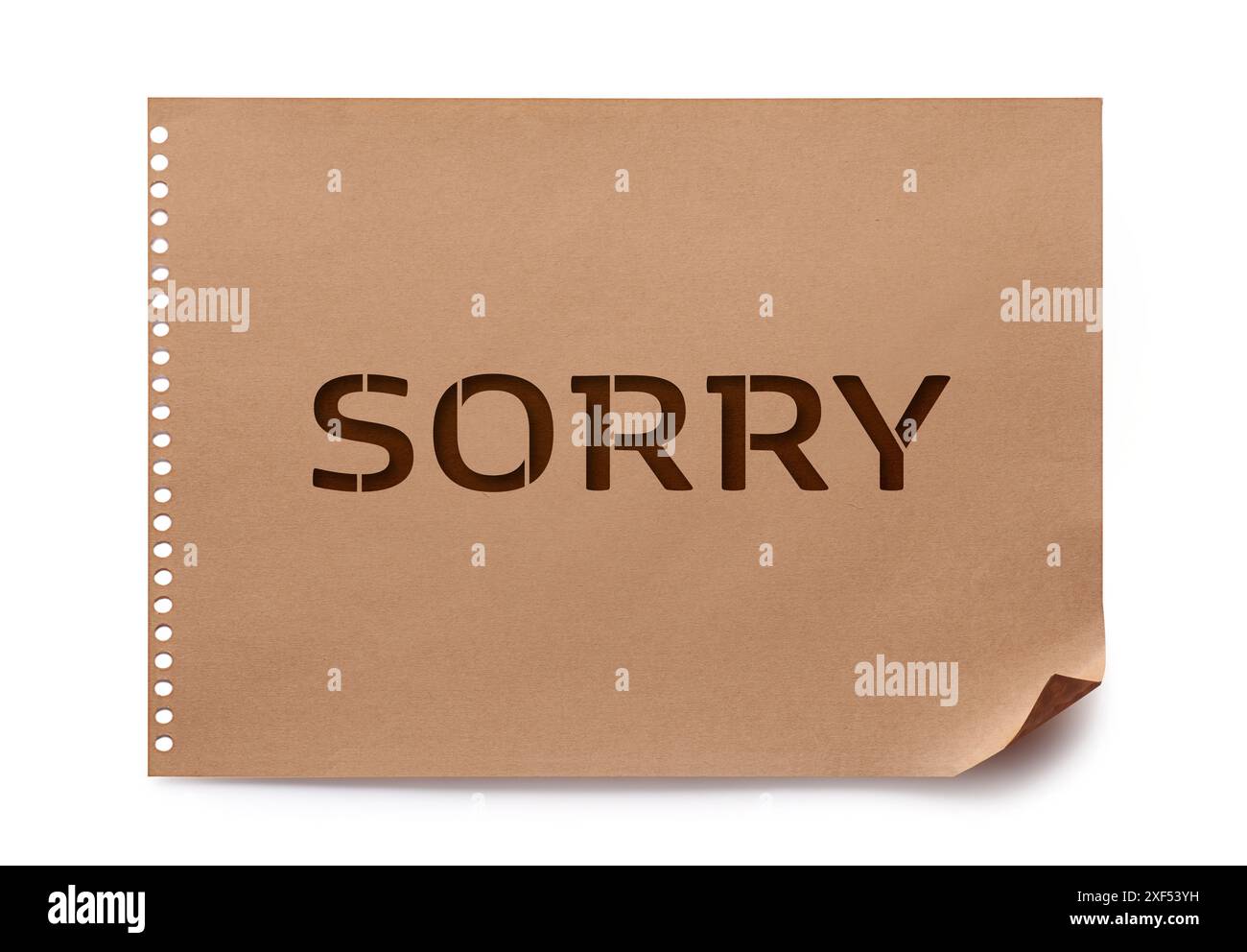 Sorry paper note on white background, top view Stock Photo - Alamy