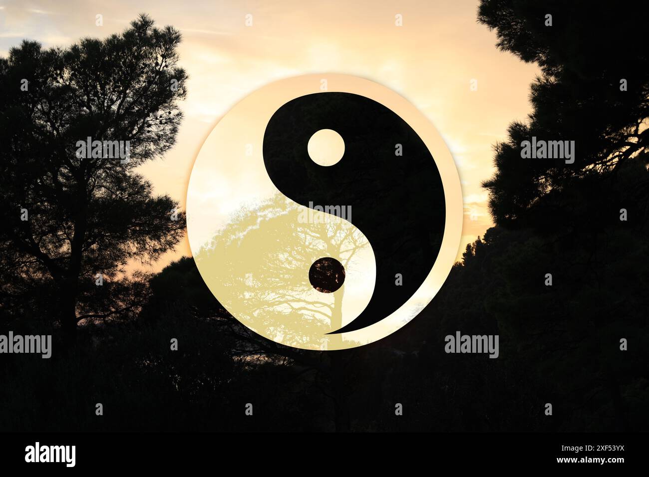 Yin and yang symbol against picturesque nature landscape Stock Photo ...