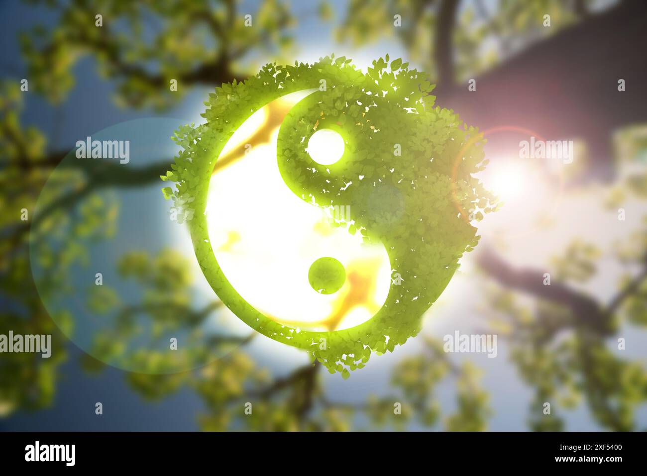 Yin and yang symbol with green leaves against blurred tree branch Stock ...