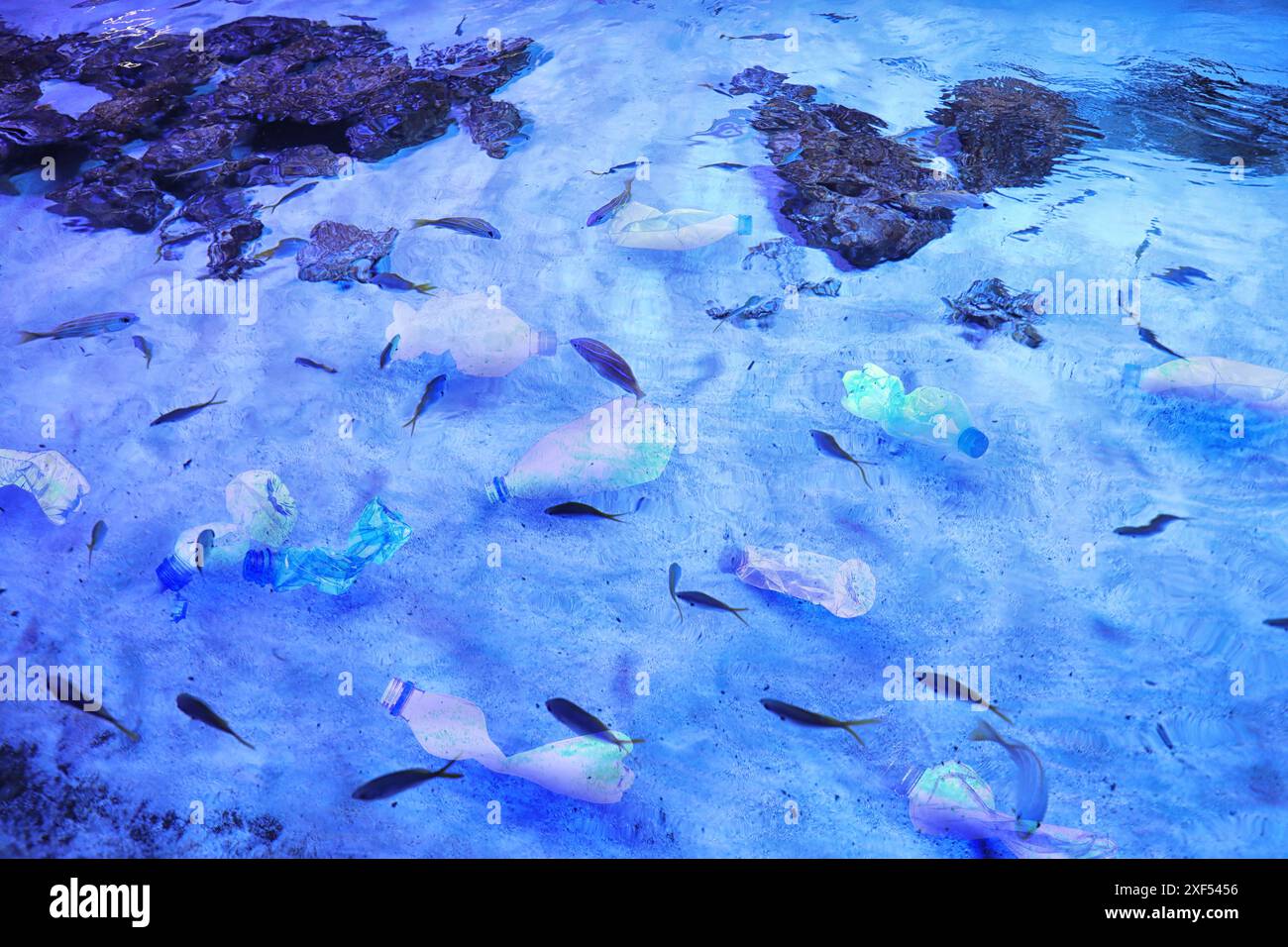 Plastic in the deep sea hi-res stock photography and images - Alamy