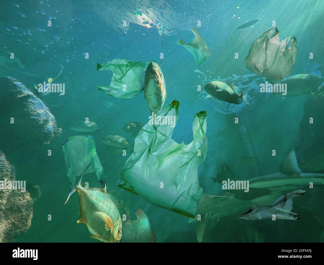 Fishes swimming among plastic garbage in sea. Environmental pollution ...