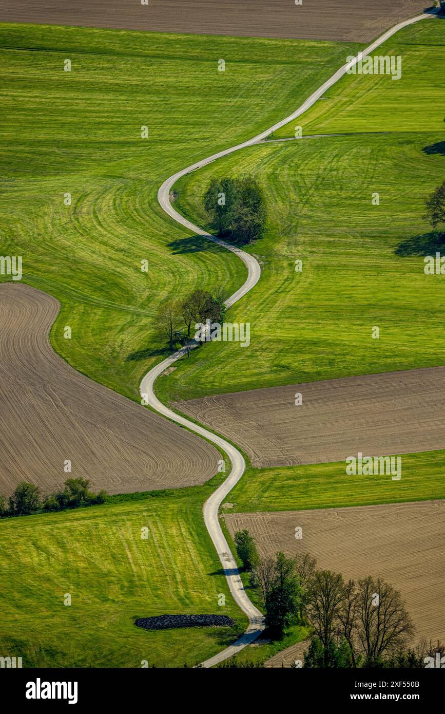 Aerial view, serpentine road between meadows and fields near the ...