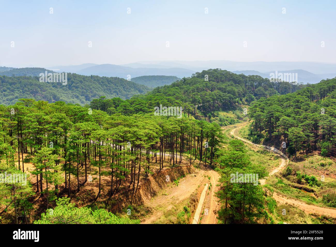 Awesome aerial view of evergreen pine woods around Da Lat (Dalat ...
