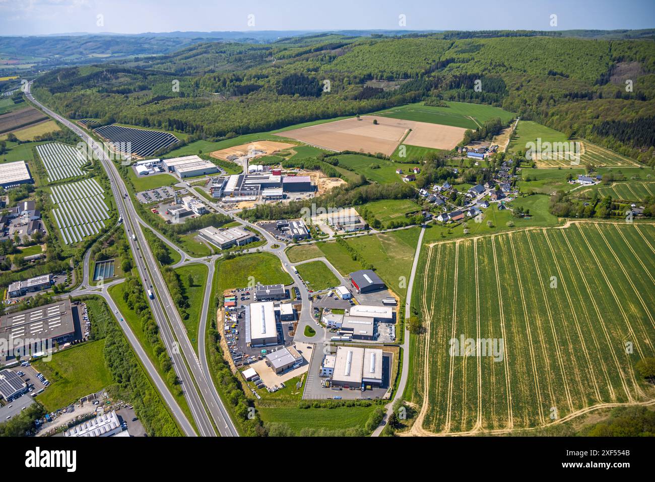 Wennemer wald hi-res stock photography and images - Alamy