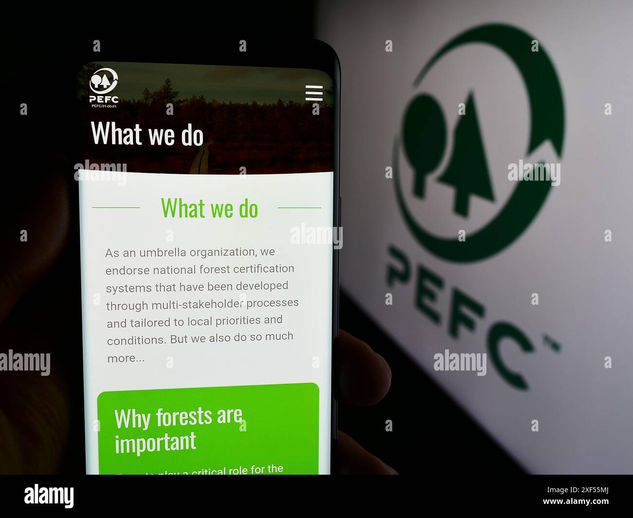 Person holding smartphone with web page of Programme for the ...