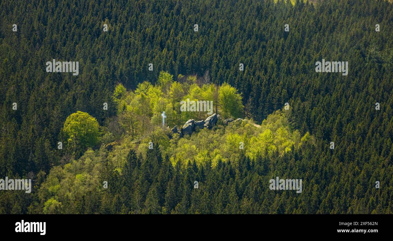 Aerial view, High Fens Nature Park Eifel, in the forest area of the ...