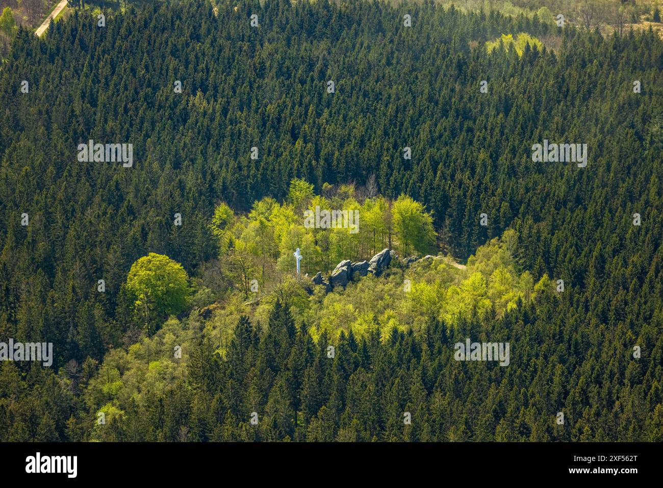 Aerial view, High Fens Nature Park Eifel, in the forest area of the ...