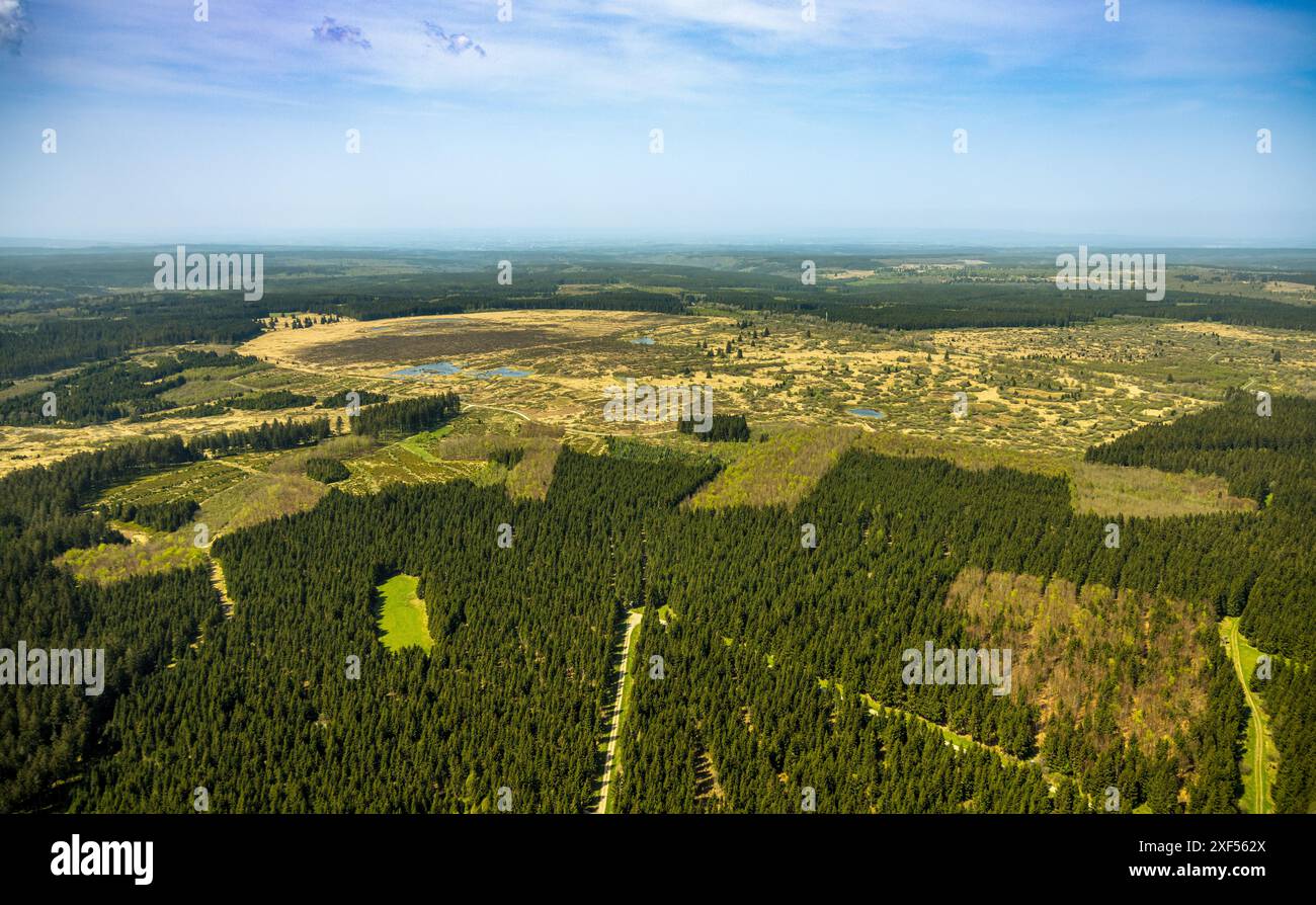 Aerial view, High Fens Eifel Nature Park, plateau near Mützenich ...