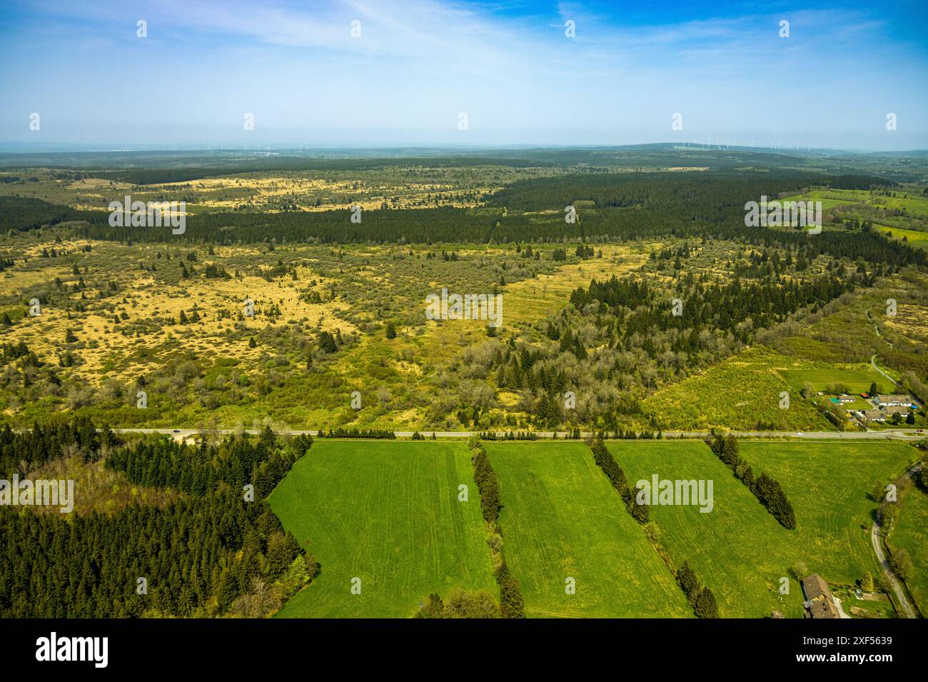 Aerial view, High Fens Eifel Nature Park, plateau near Mützenich ...
