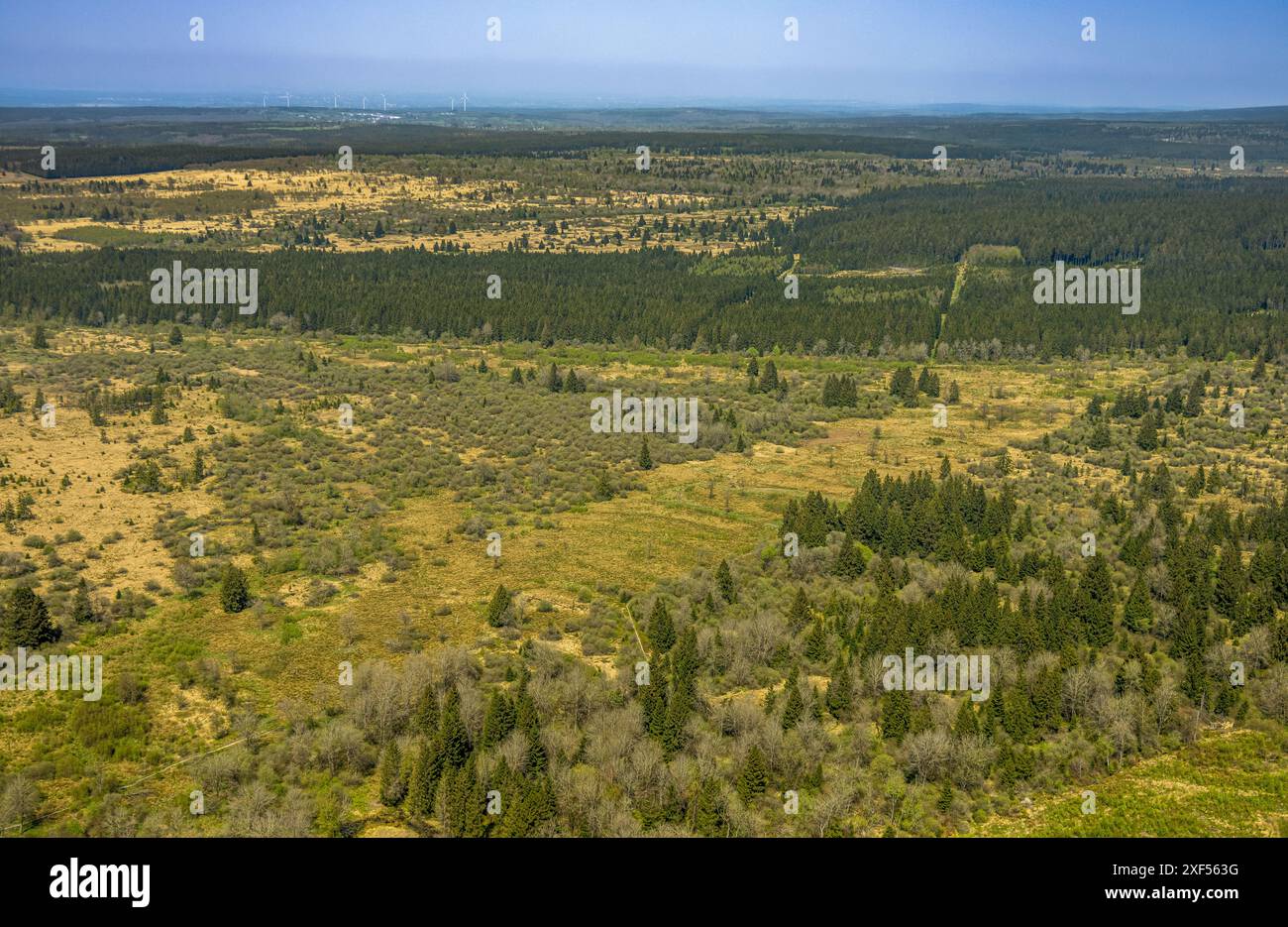 Aerial view, High Fens Eifel Nature Park, plateau near Mützenich ...