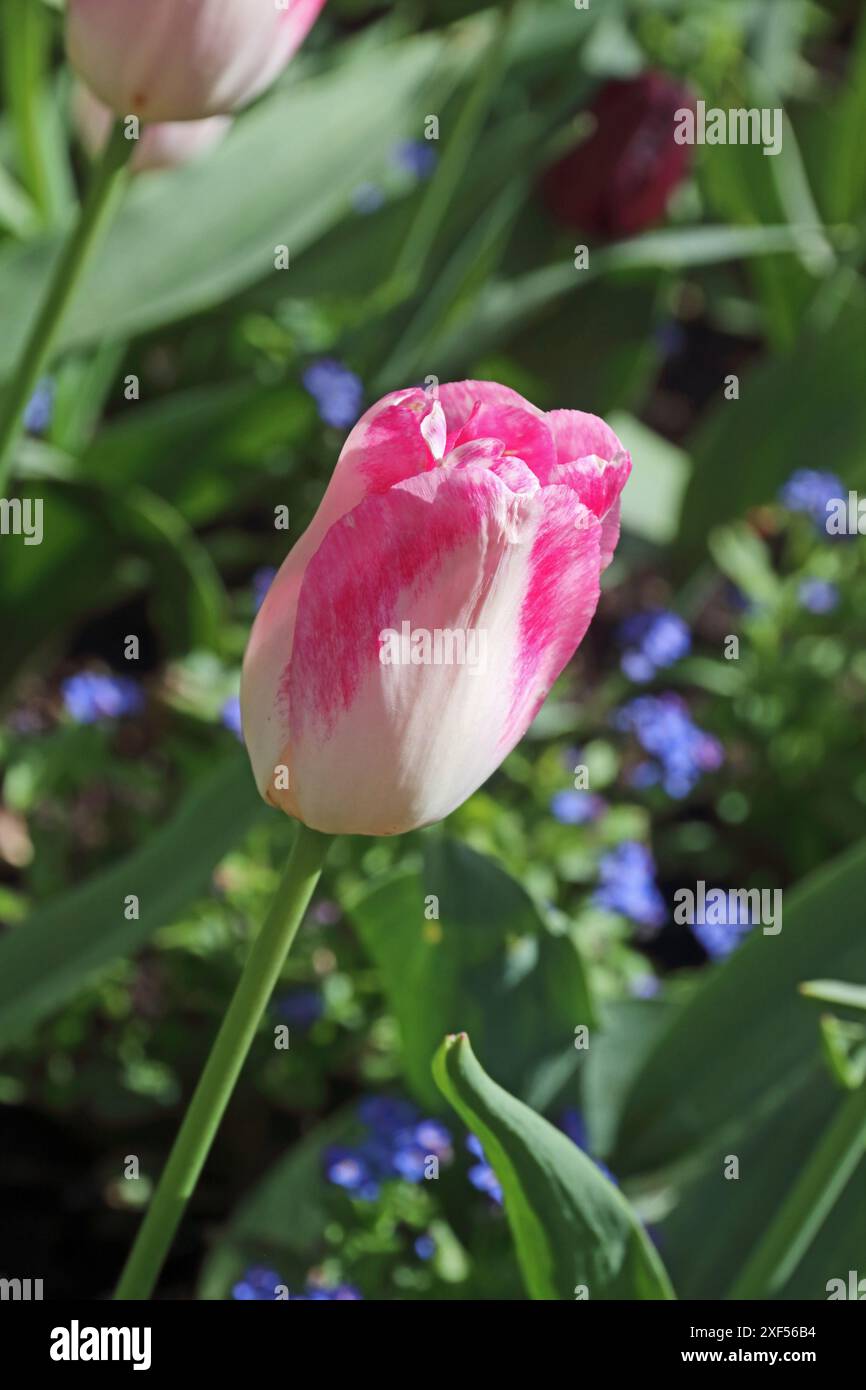 Infinity white hi-res stock photography and images - Alamy