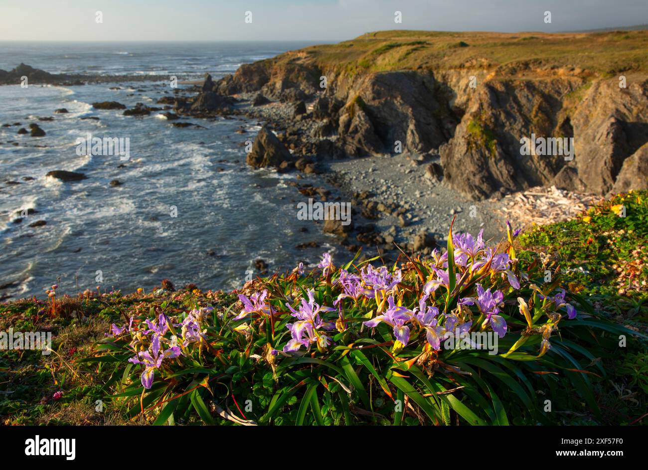 Douglas bluff hi-res stock photography and images - Alamy