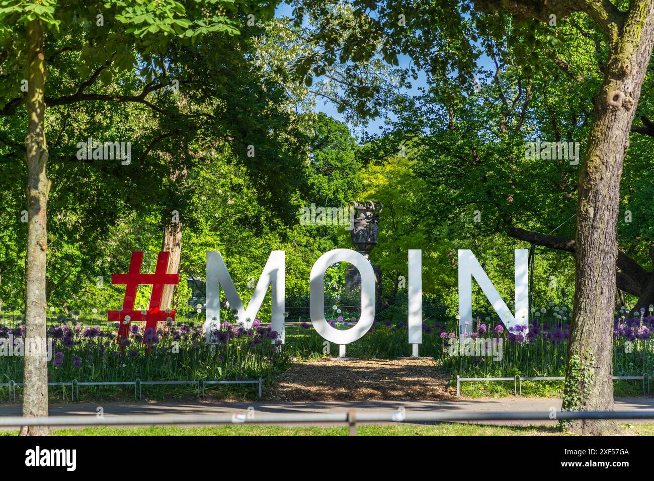 Hashtag MOIN = Hanseatic greeting for good day, in large letters in a ...