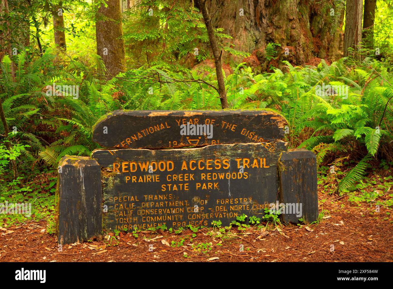 Redwood Access Trail sign, Prairie Creek Redwoods State Park, Redwood ...