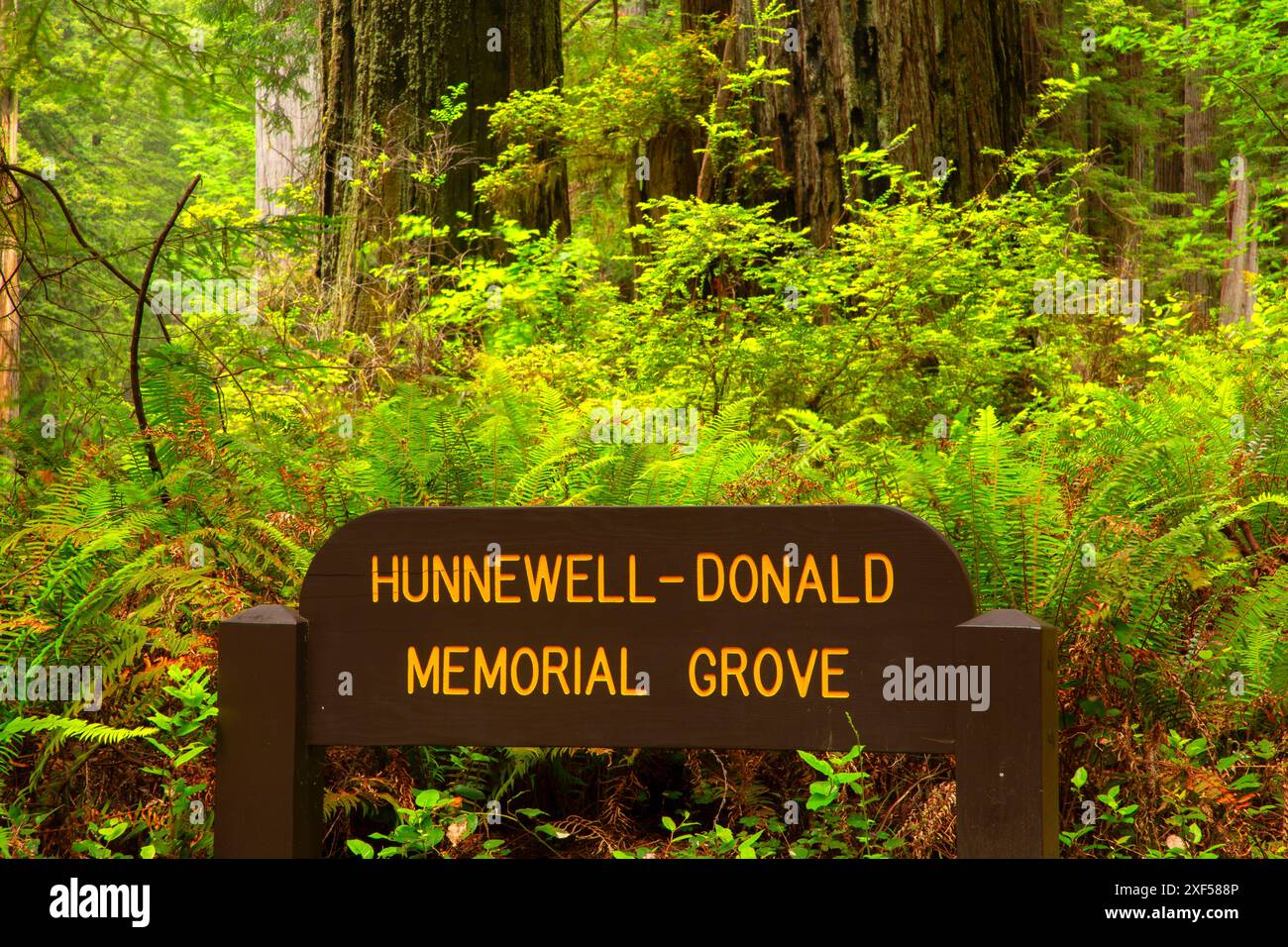Memorial grove sign, Prairie Creek Redwoods State Park, Redwood ...