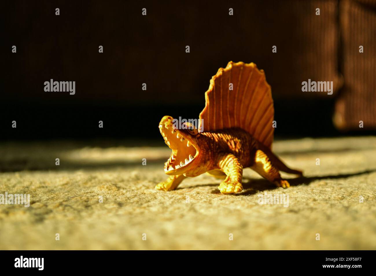 A figurine of an aggressive growling orange Dimetrodon dinosaur stands ...